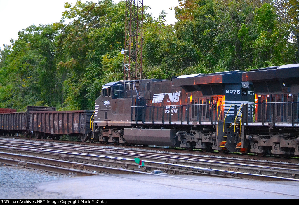 NS 61N